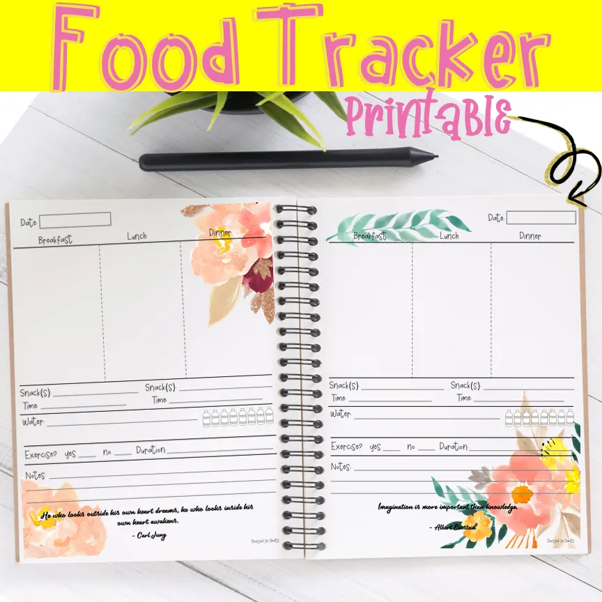 Printable Food Tracker by Teach Simple