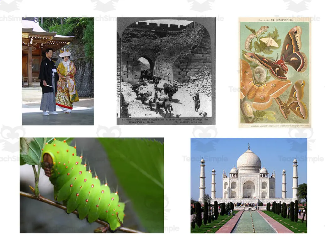 Quick Write Flash Cards | Ancient Asia Writing Activity by Teach Simple