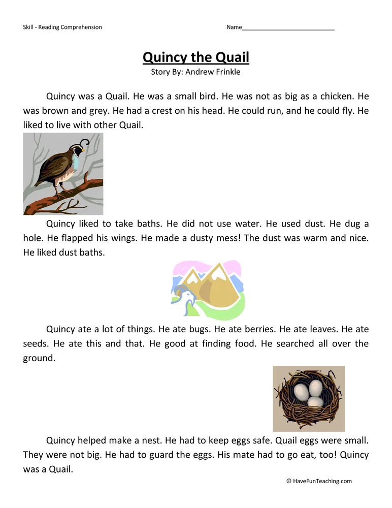 Quincy the Quail Reading Comprehension Worksheet by Teach Simple