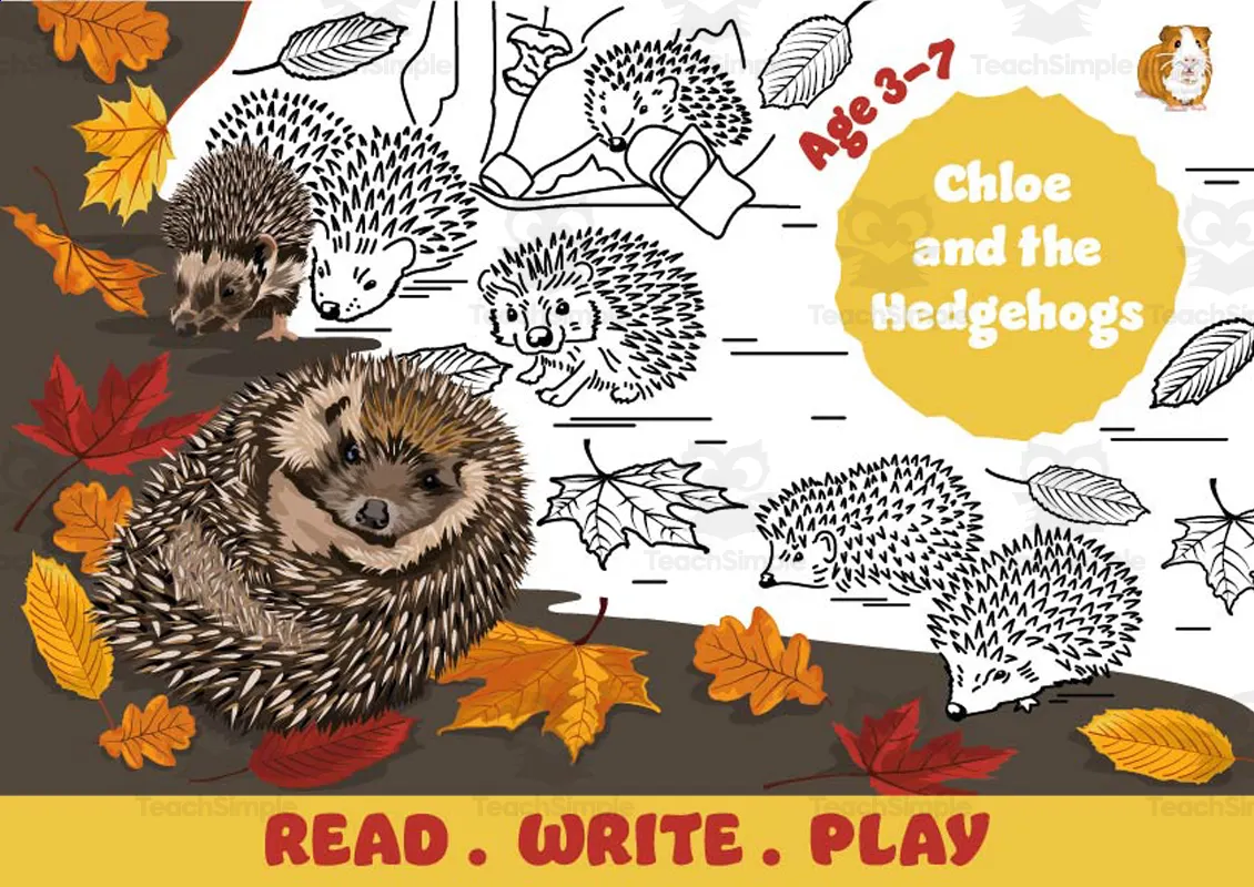 Read, Write and Play - Chloe and the Hedgehogs by Teach Simple