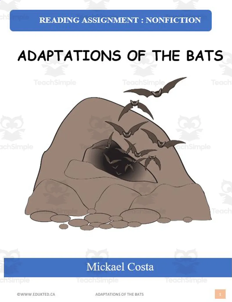 Reading assignment: Adaptations of the bats by Teach Simple
