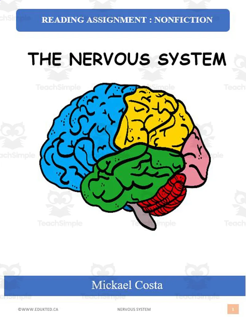 Reading assignment: Nervous system by Teach Simple