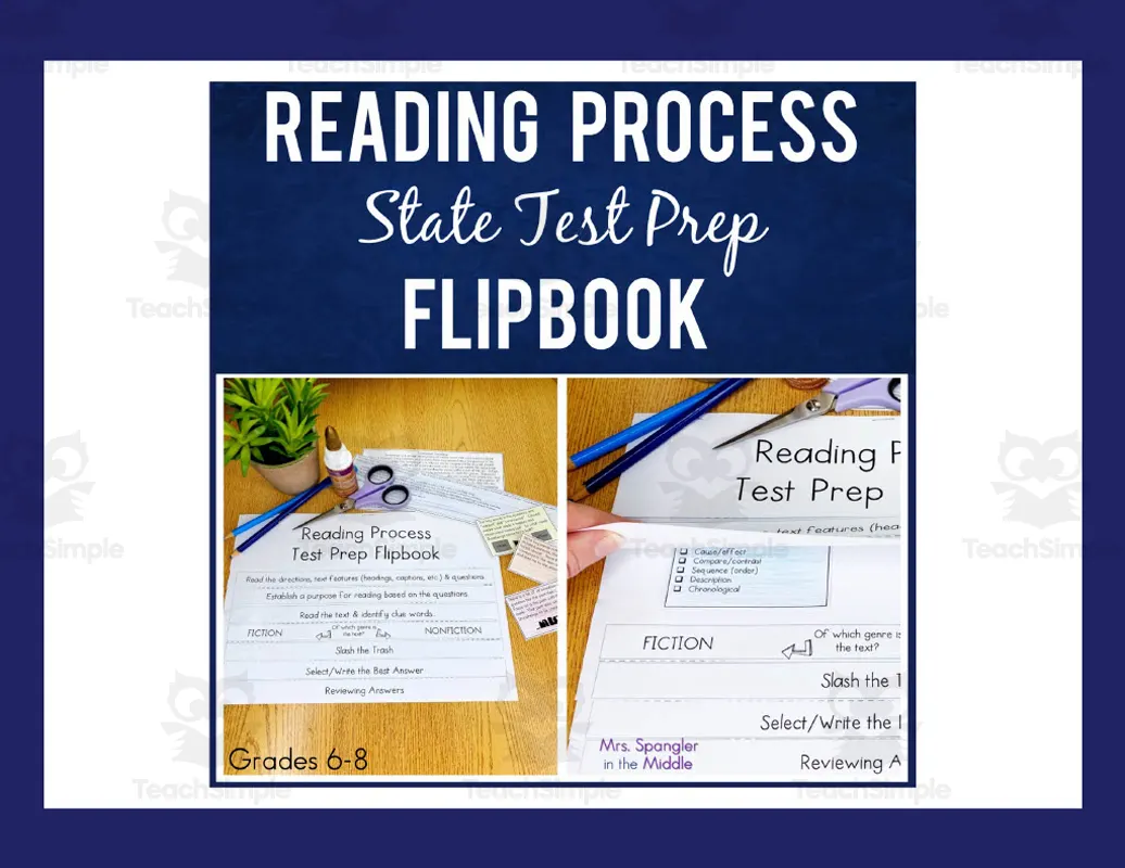 Reading Process State Test Prep Flipbook by Teach Simple