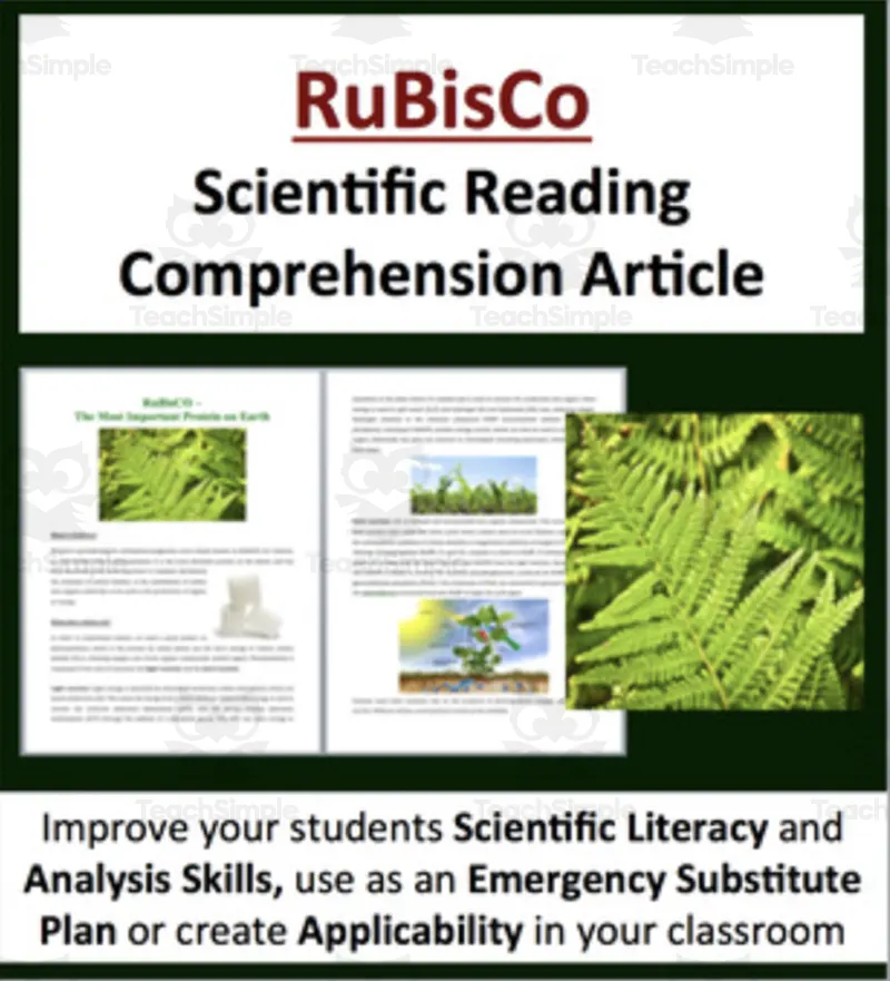 RuBisCO Reading Comprehension Article by Teach Simple