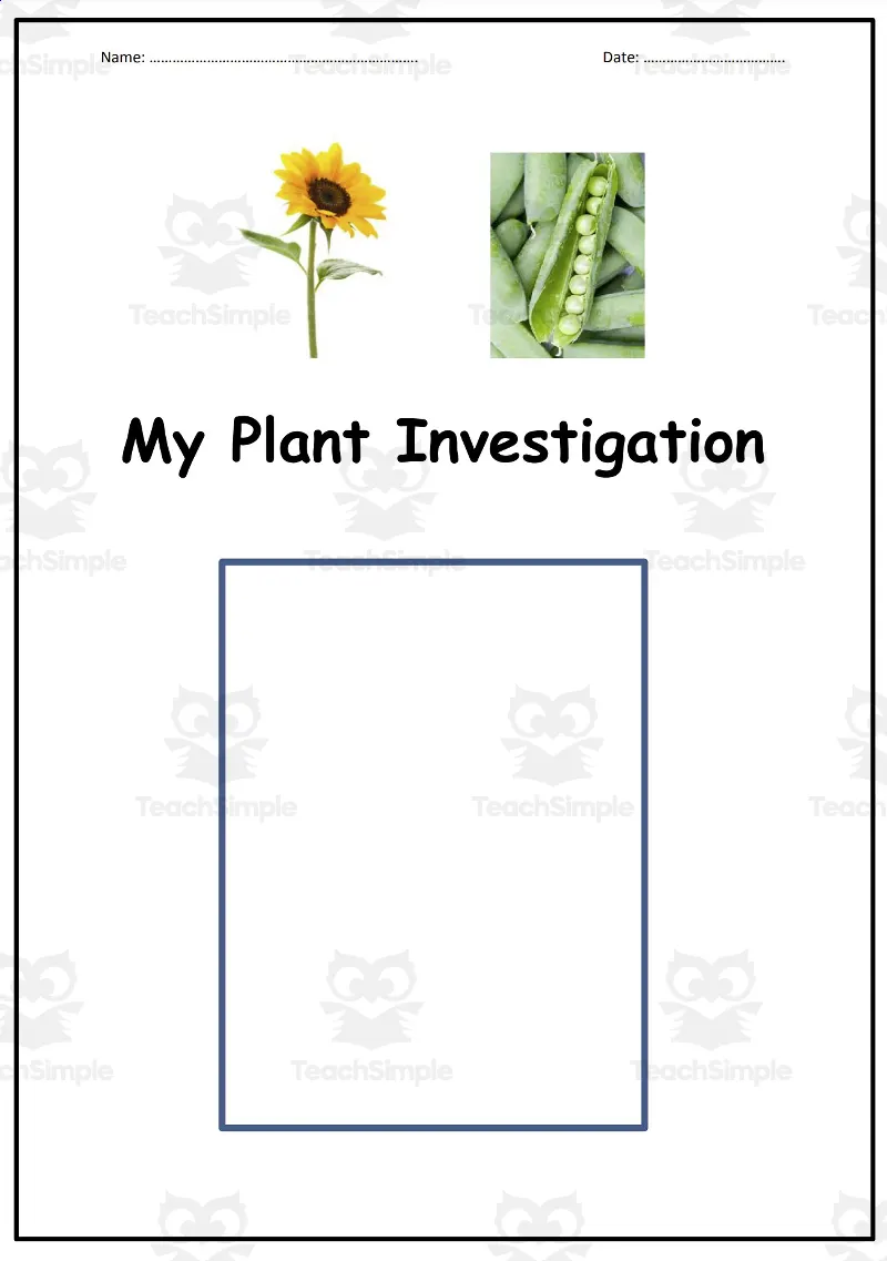 Science: Plant Research by Teach Simple