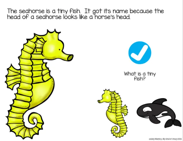 Seahorses Adapted Book - Slide Deck for Special Ed by Teach Simple