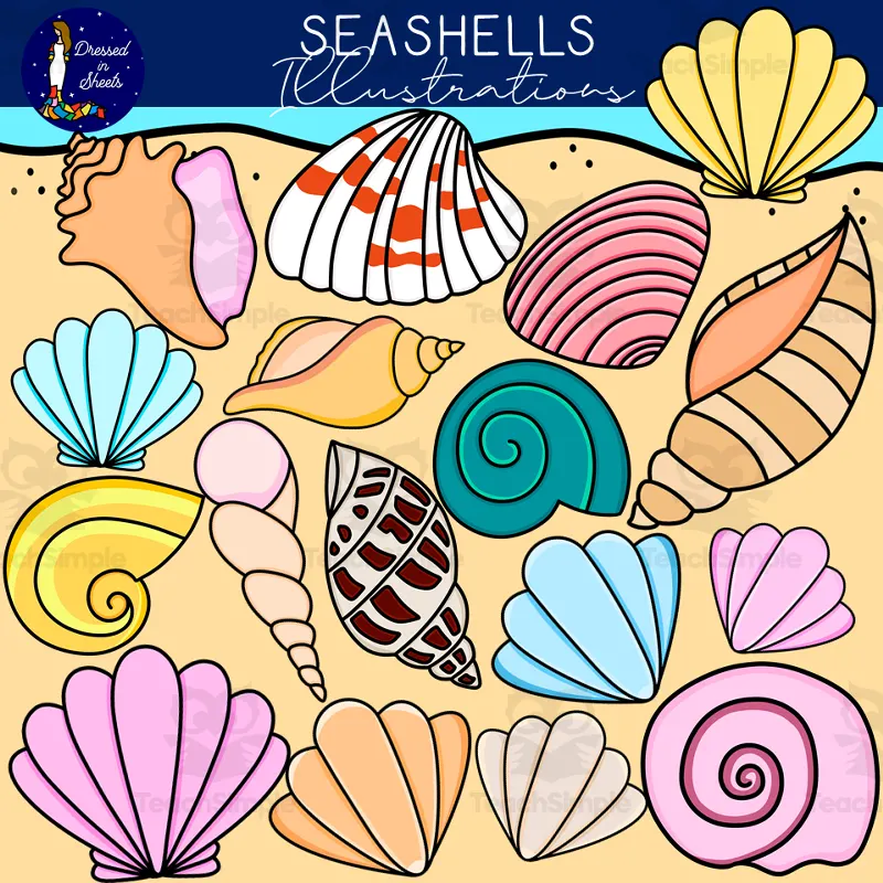 Seashells Clip Art by Teach Simple