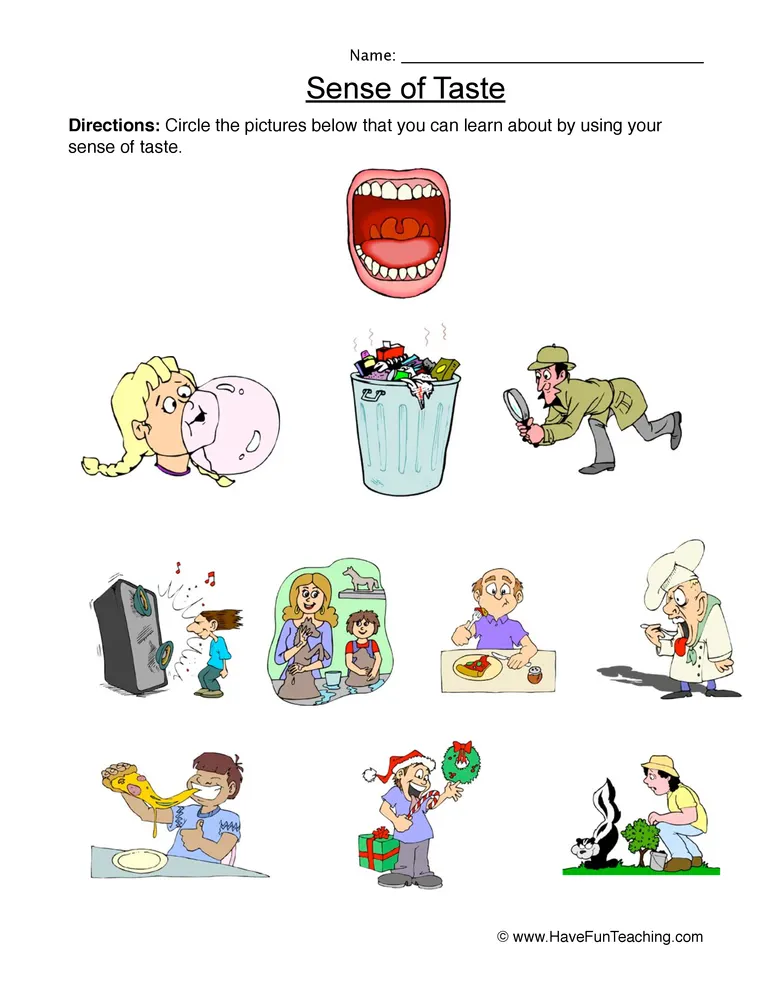 Senses Taste Worksheet by Teach Simple