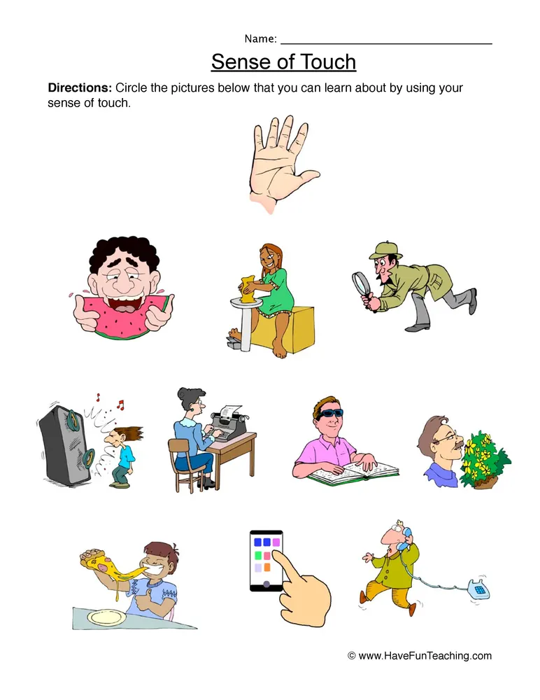Senses Touch Worksheet by Teach Simple