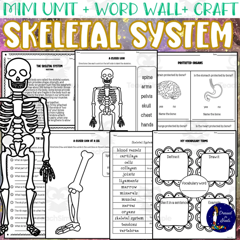 Skeletal System Unit with Word Wall and Craft by Teach Simple