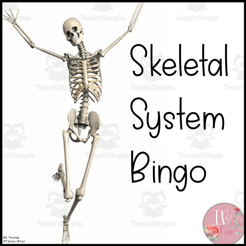 Skeletal System Vocabulary Bingo by Teach Simple