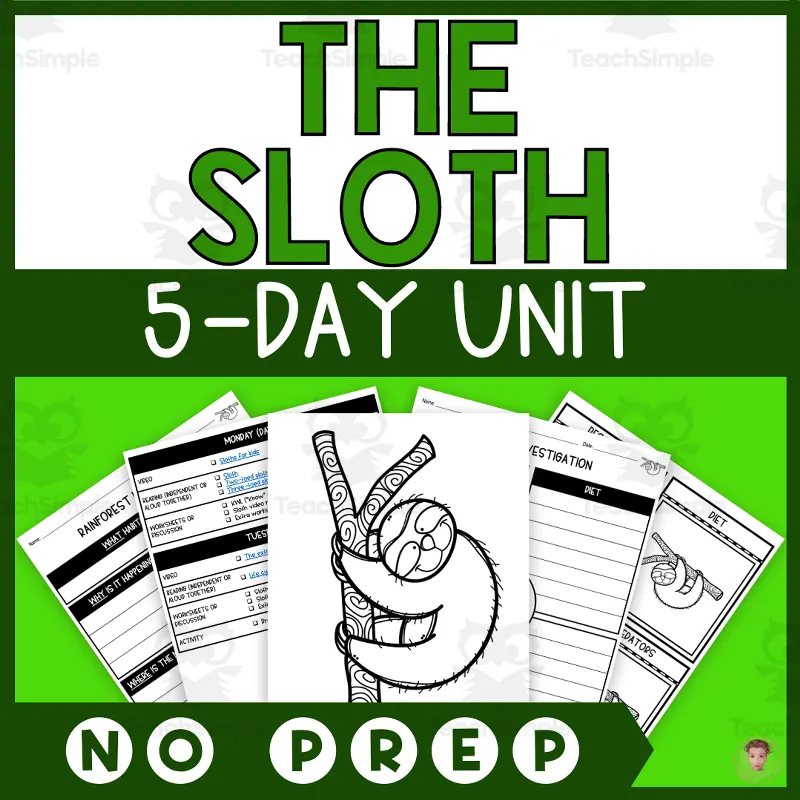 Sloth Unit Study | Rainforest Animals | Lesson Plan, Activities | NO ...