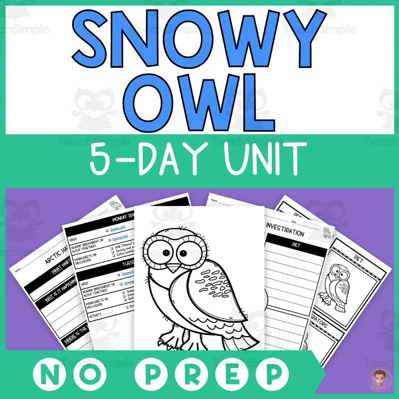 Snowy Owl Unit Study (Arctic Animals Lesson Plan, Videos, Activities ...