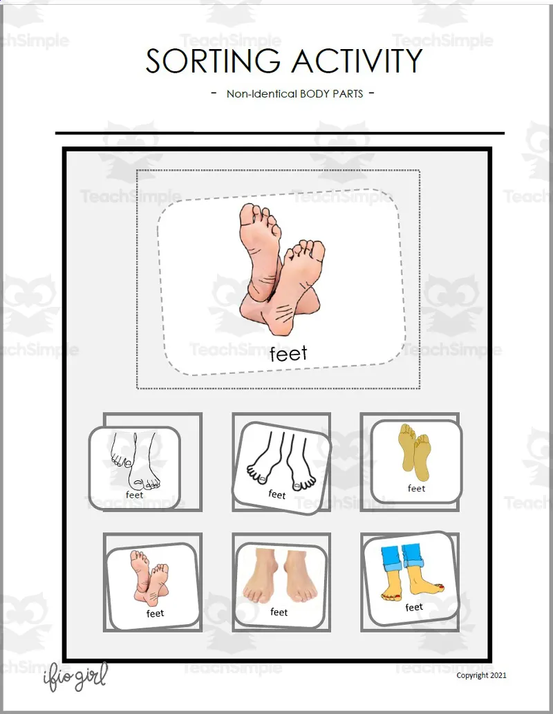 Sorting Body Parts - Non-Identicals by Teach Simple