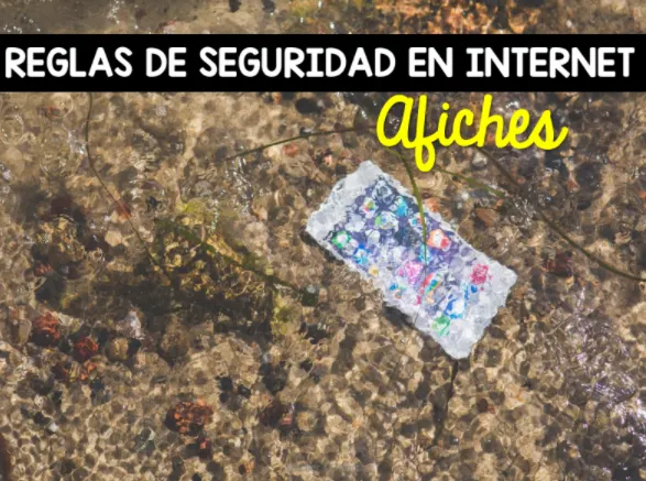 Spanish: Internet Safety Rules Posters by Teach Simple