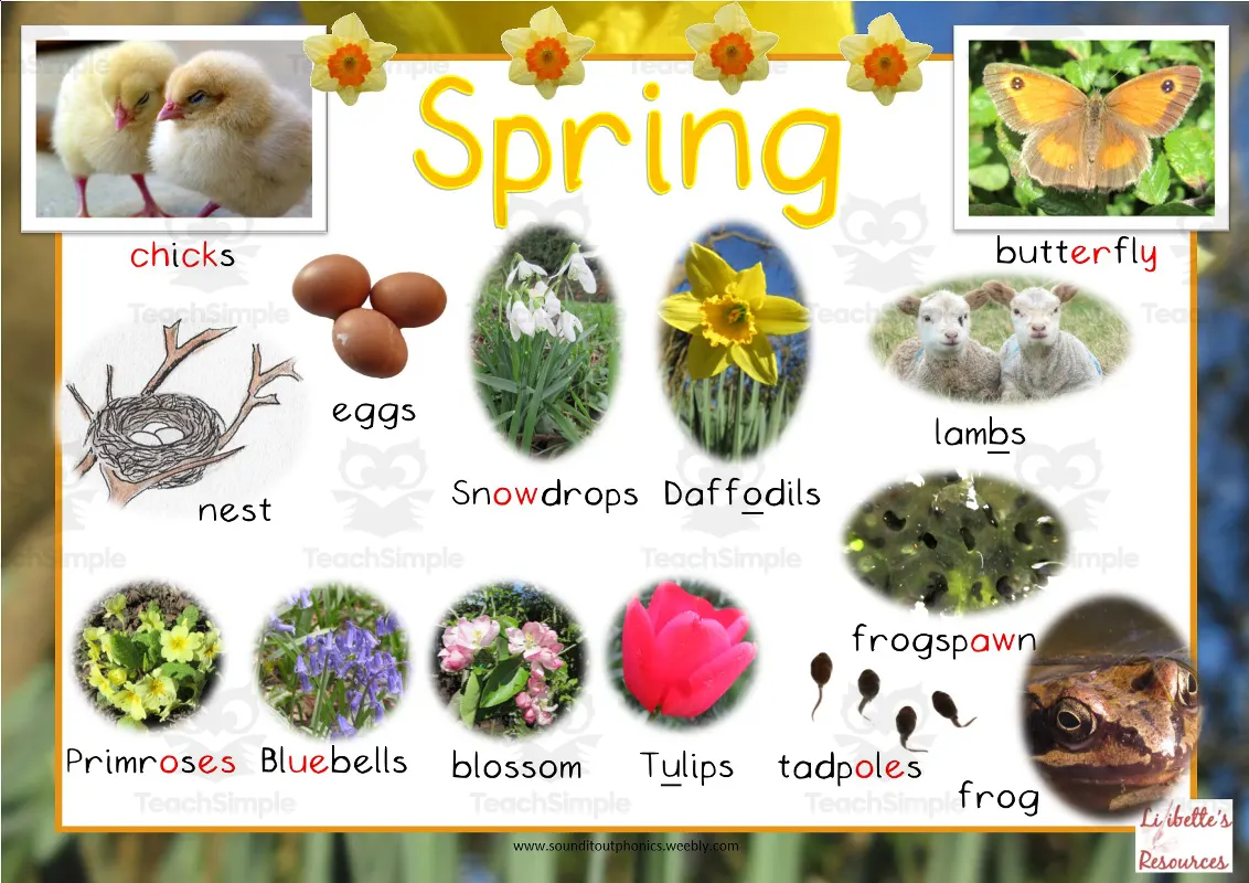 Spring Word Mat Phonetically Coded by Teach Simple