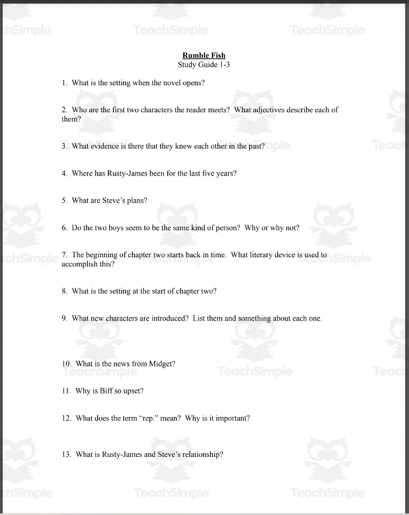 Study Guide: Rumble Fish by Teach Simple