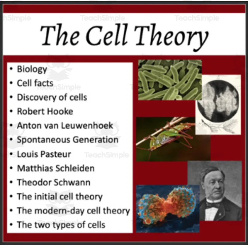 The Cell Theory - Google Slides and PowerPoint Lesson by Teach Simple