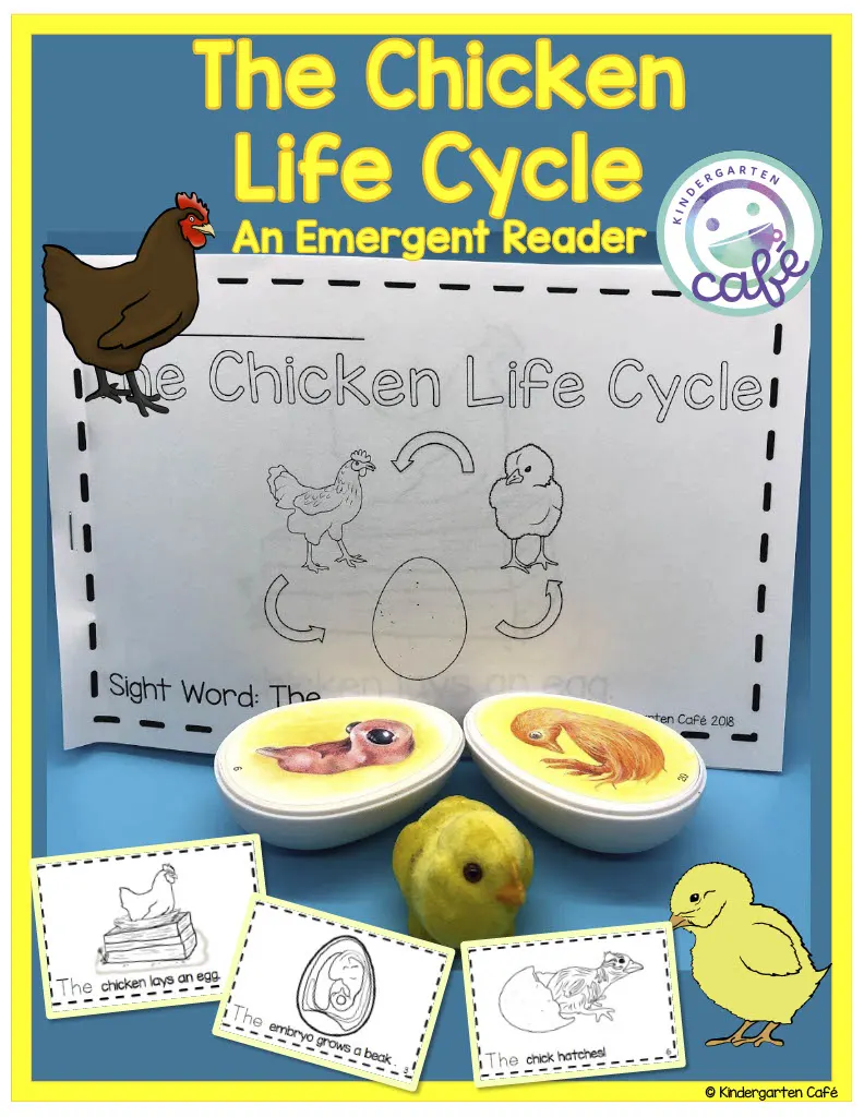 The Chicken Life Cycle - An Emergent Reader by Teach Simple