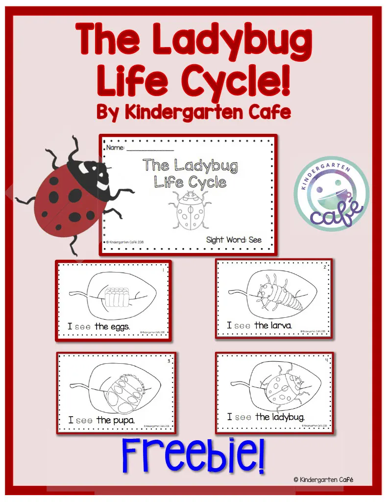 The Ladybug Life Cycle Book | Emergent Reader by Teach Simple