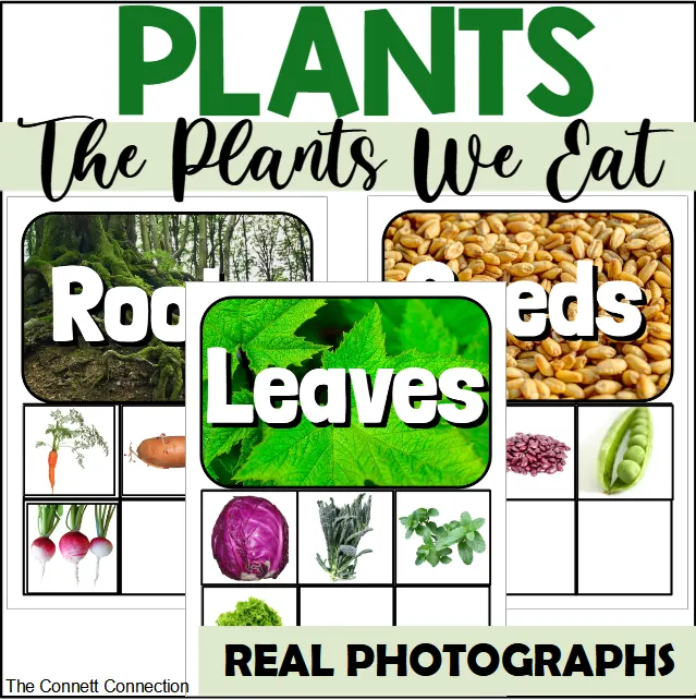The Plants We Eat: A Parts of a Plant Sort by Teach Simple