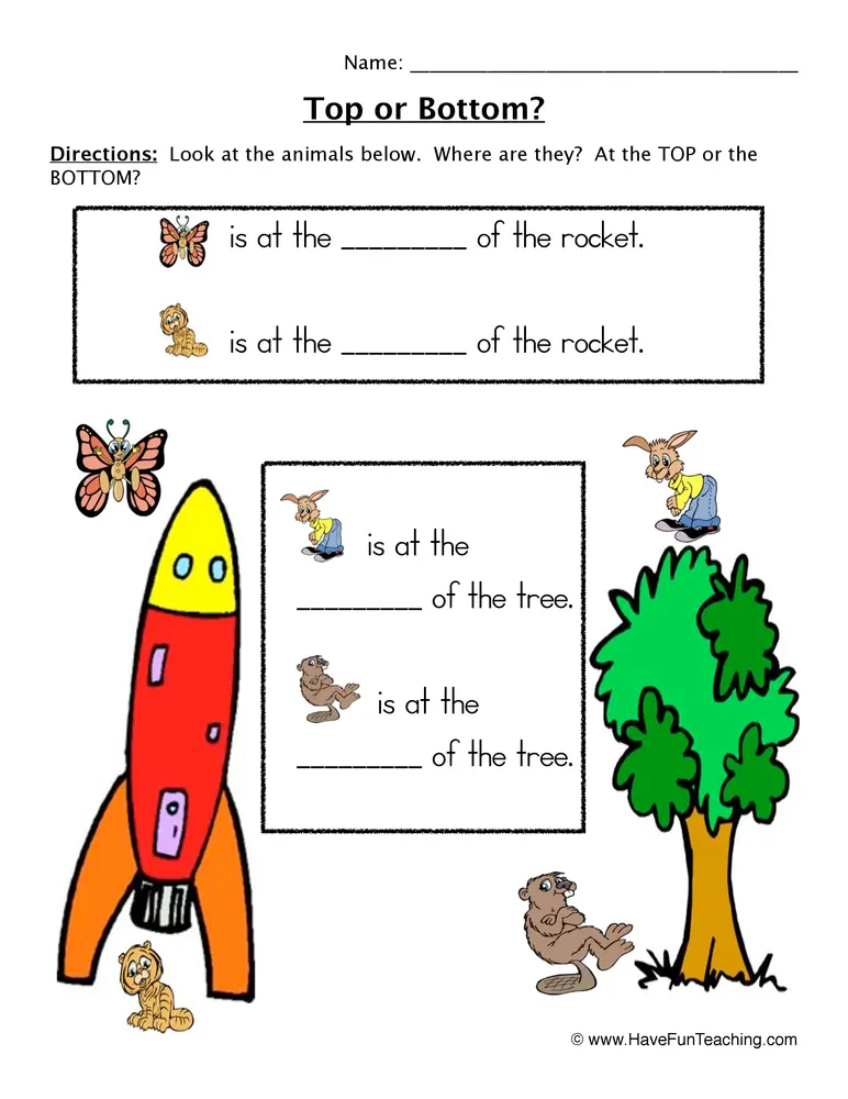 Top or Bottom Pictures Worksheet by Teach Simple