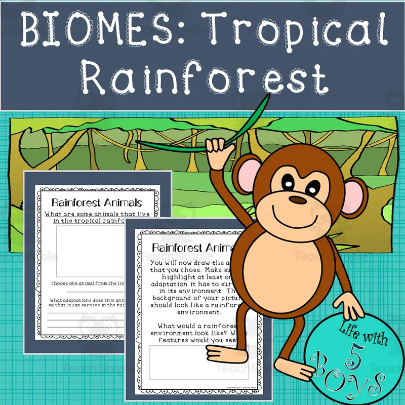 Tropical Rainforest Biome Activity by Teach Simple