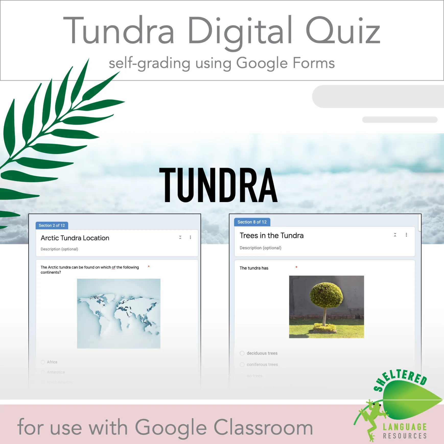 Tundra - Digital Quiz for Google Classroom by Teach Simple
