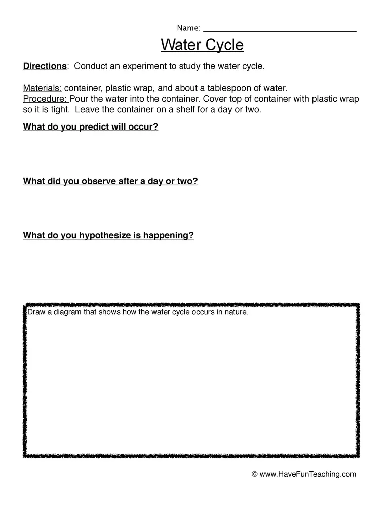 Water Cycle Experiment Worksheet by Teach Simple