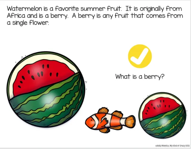 Watermelon Life Cycle Adapted Book Slide Deck, Special Ed by Teach Simple