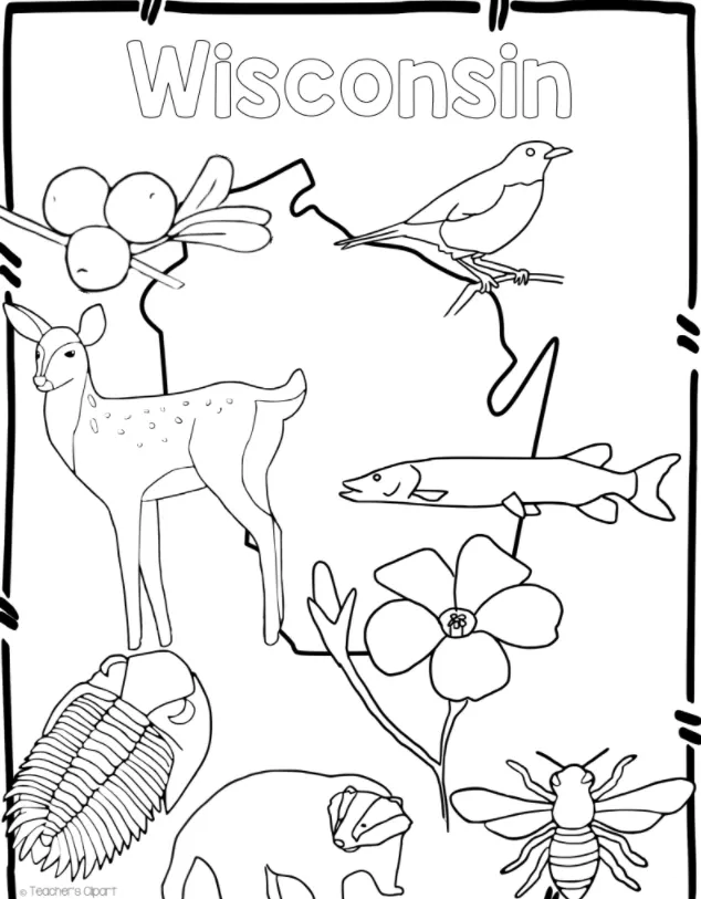 Wisconsin State Symbols Clip Art by Teach Simple