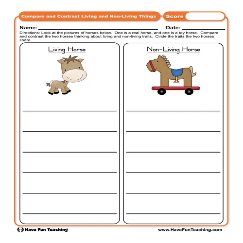 Compare and Contrast Living and Non Living Things Worksheet by Teach Simple