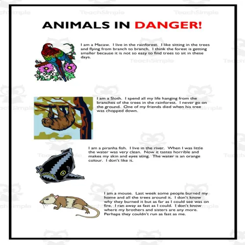 Endangered Animals Exploration by Teach Simple