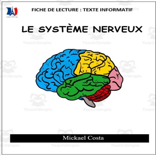 French: Reading comprehension worksheets: Le système nerveux by Teach ...