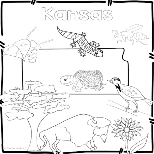 Kansas State Symbols Clip Art by Teach Simple