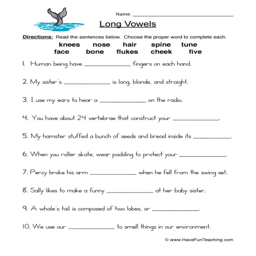 Long Vowels Filling in the Blanks Worksheet by Teach Simple