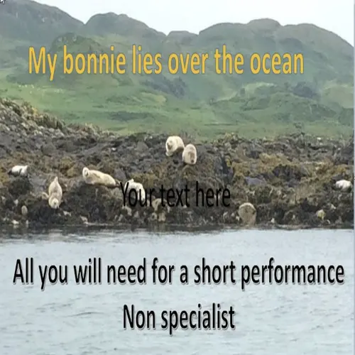 My Bonnie Musical Lesson Plan Bundle by Teach Simple