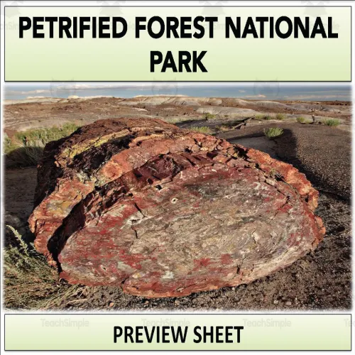 Petrified Forest National Park Geography Unit by Teach Simple