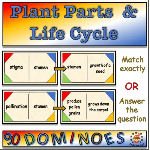Plants - Anatomy and Life Cycle Dominoes Game - Middle School Science ...