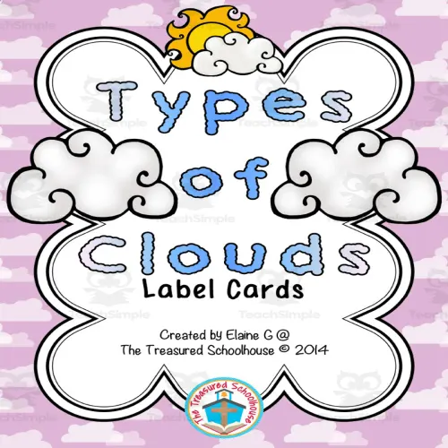 Types of Clouds Label Cards by Teach Simple