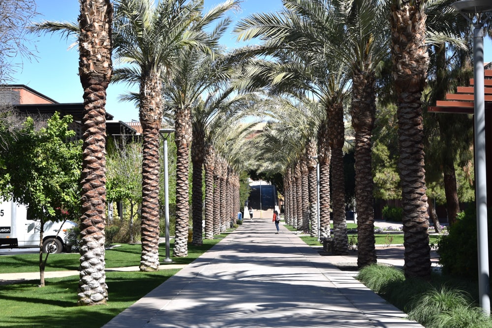 2024 Best Engineering Colleges - Degreechoices.com