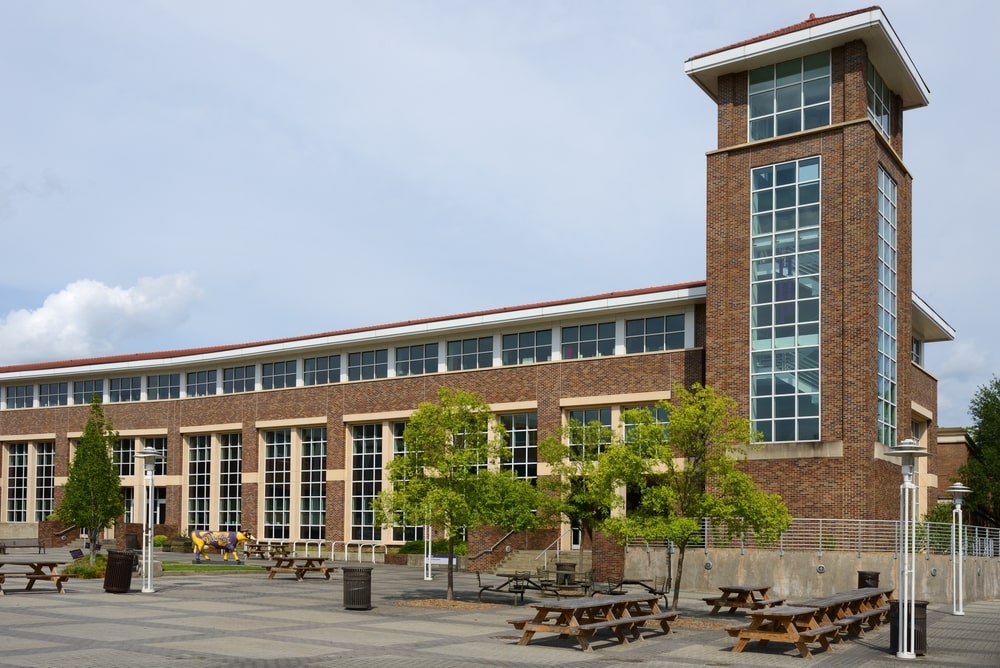 2024 Online ADN Programs - Degreechoices.com