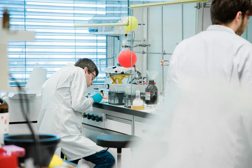 How to become an epidemiologist in 5 steps - Degreechoices.com