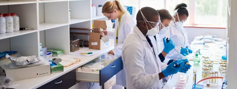 How to become a pathologist in 7 steps - Degreechoices.com