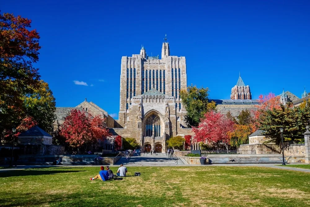 Best B-Schools: A Complete T25 MBA Tier List - Degreechoices.com