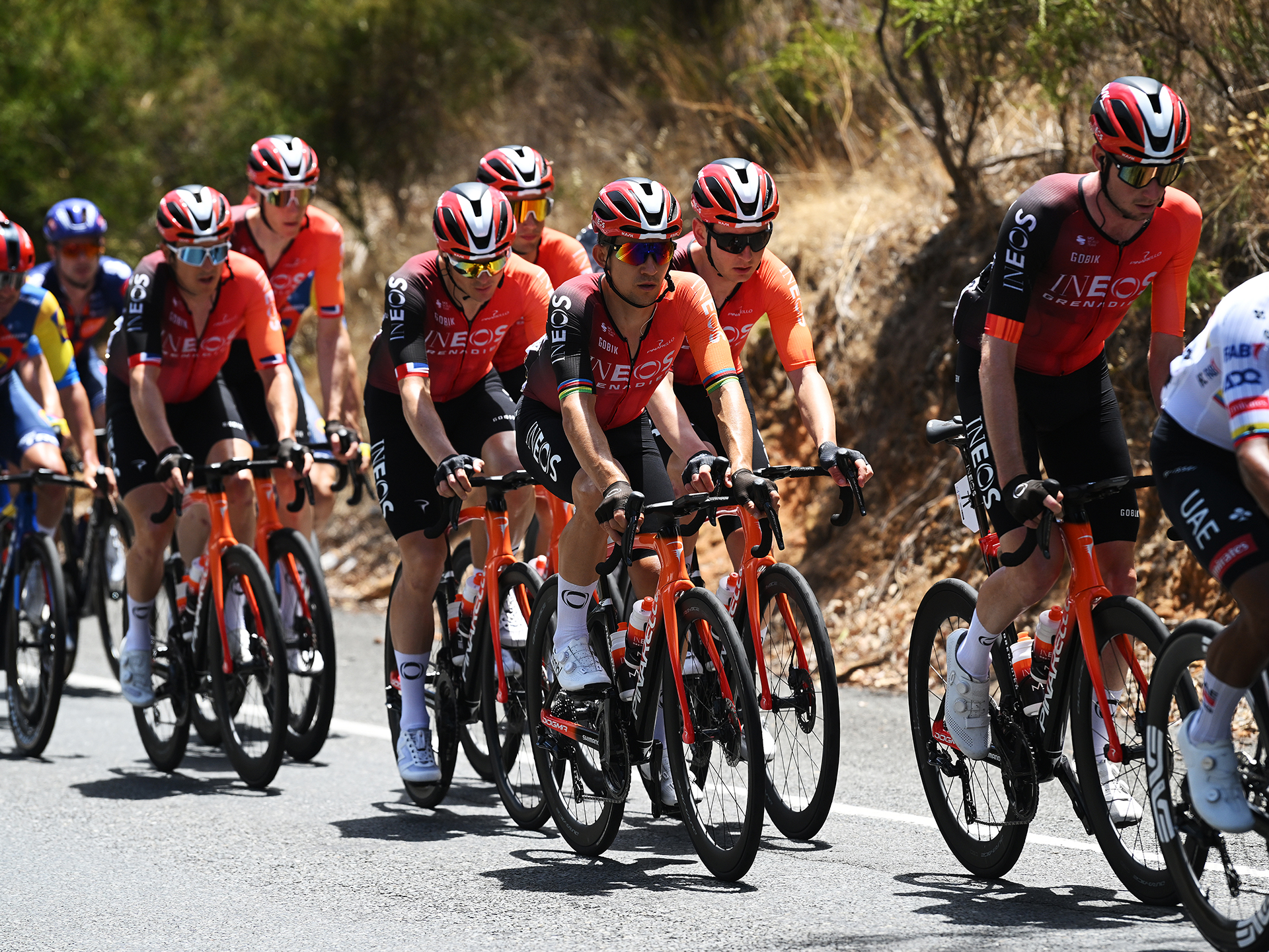 Swift secures top five to kick off Tour Down Under | Netcompany INEOS
