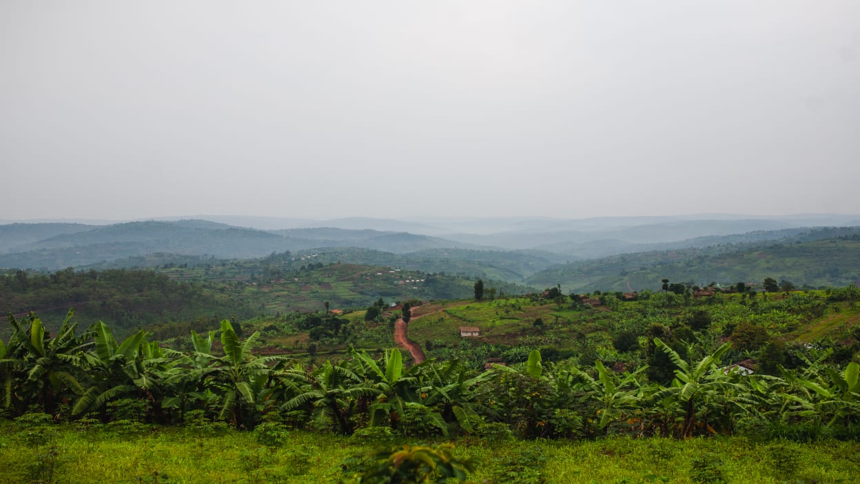 Landslides and flooding in Rwanda affect our local partners - Tearfund