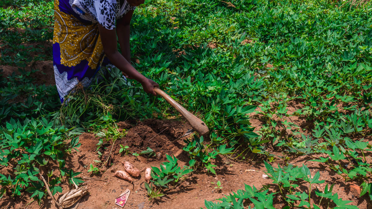 More lessons from Clarkson’s Farm (they’re not diddly squat) - Tearfund