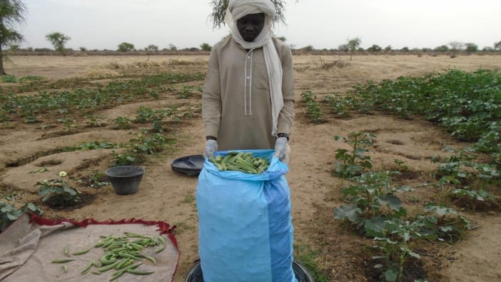 Food insecurity in Nigeria and what we're doing to help - Tearfund
