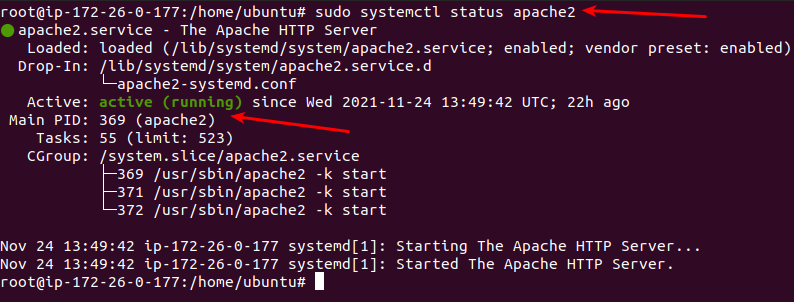How To Manage And Use Apache Virtual Hosts In Ubuntu Techvblogs
